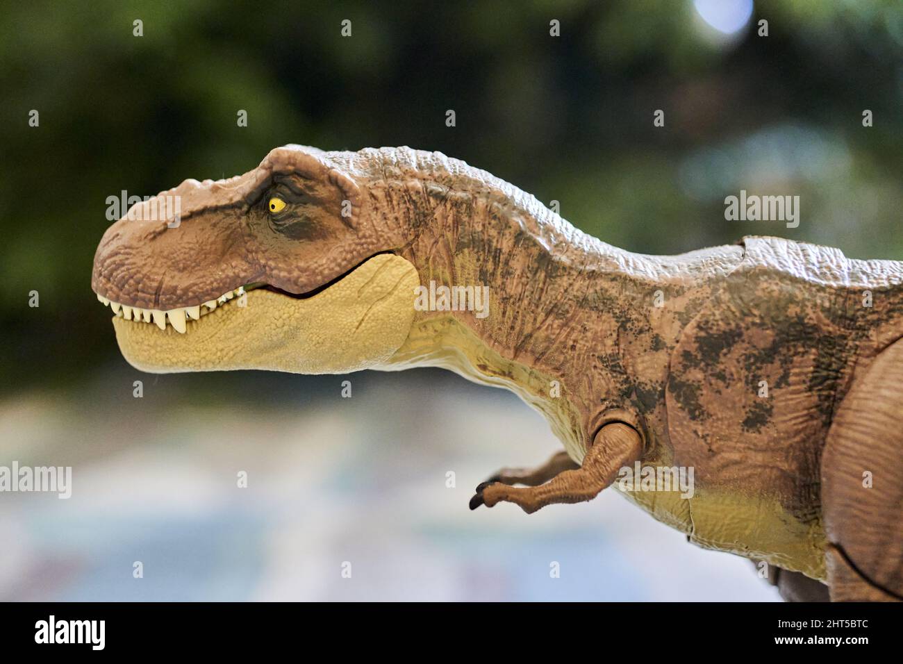 Toy figure of a tiranosaur Rexof the Schleich brand Stock Photo - Alamy