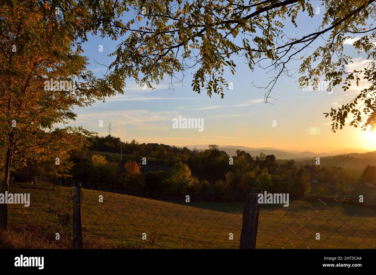 Beautiful view of trees in a field on a sunny day Stock Photo - Alamy