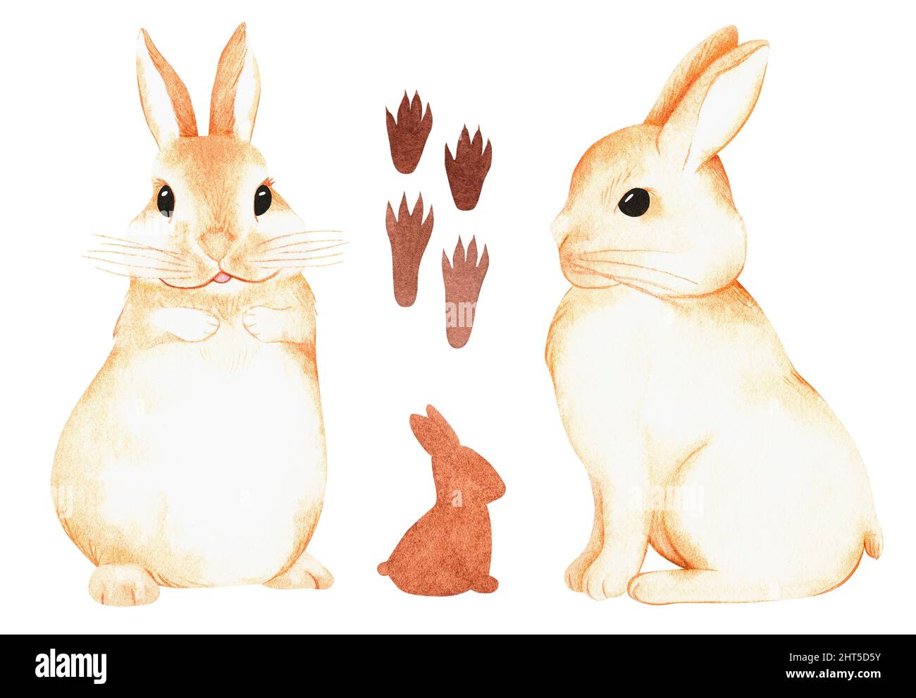 Hare clip art hi-res stock photography and images - Alamy