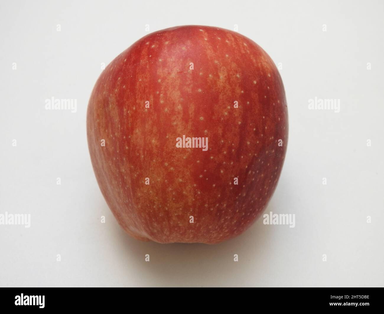 Closeup of an Indian Kashmiri apple isolated on white background Stock ...