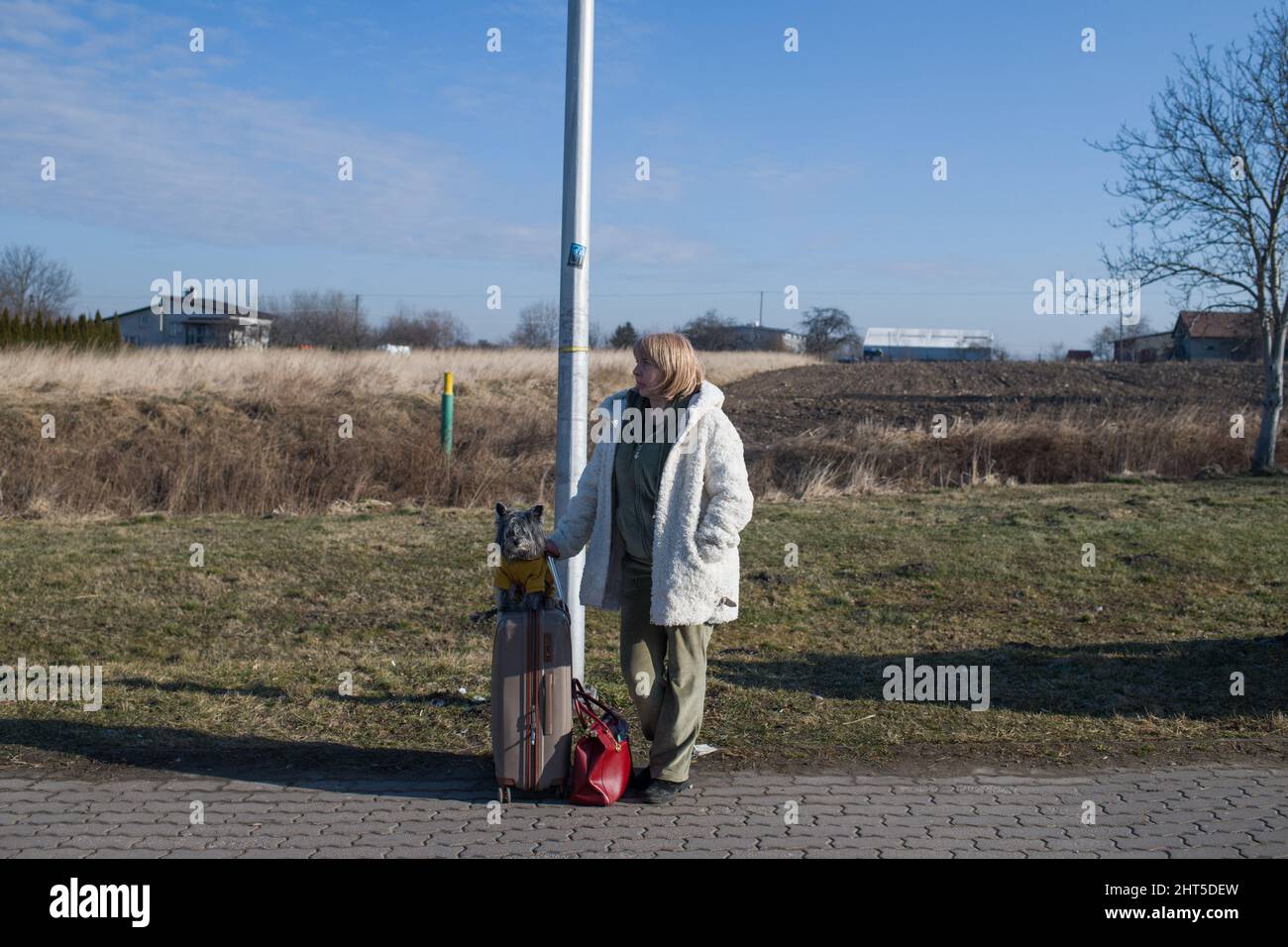 Ukrainian refugees are reunited with their loved ones at the Medyka ...