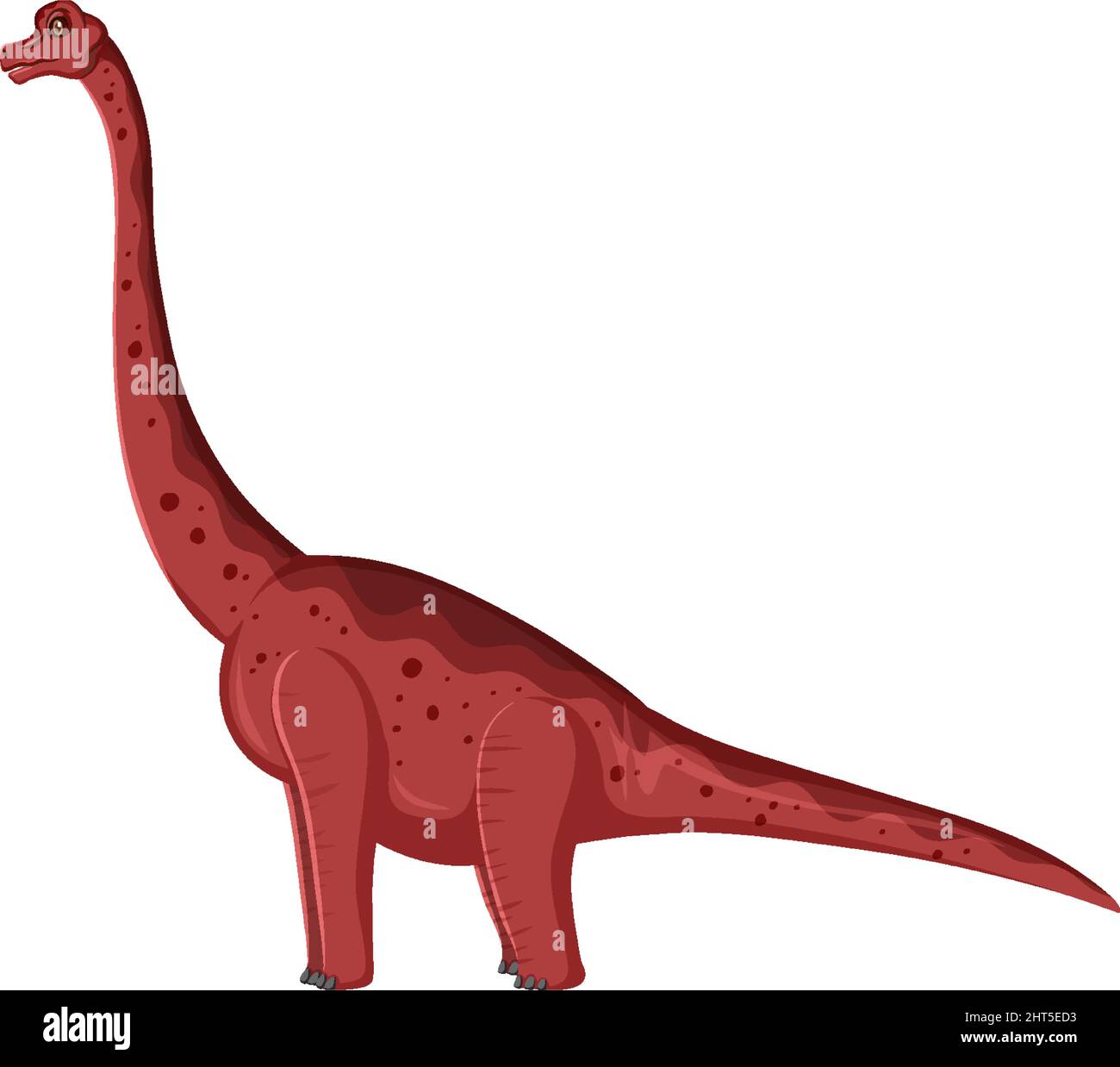 Brachiosaurus dinosaur on white background illustration Stock Vector ...