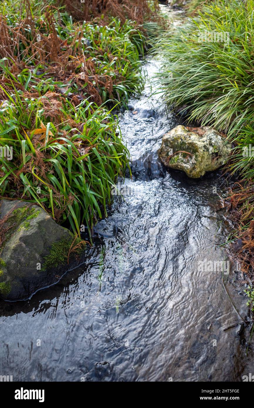 Vertical shot of a river flowing through grass Stock Photo - Alamy