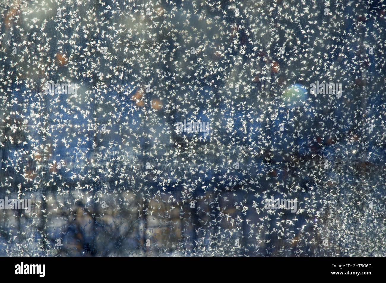 The frozen window glass texture background Stock Photo - Alamy