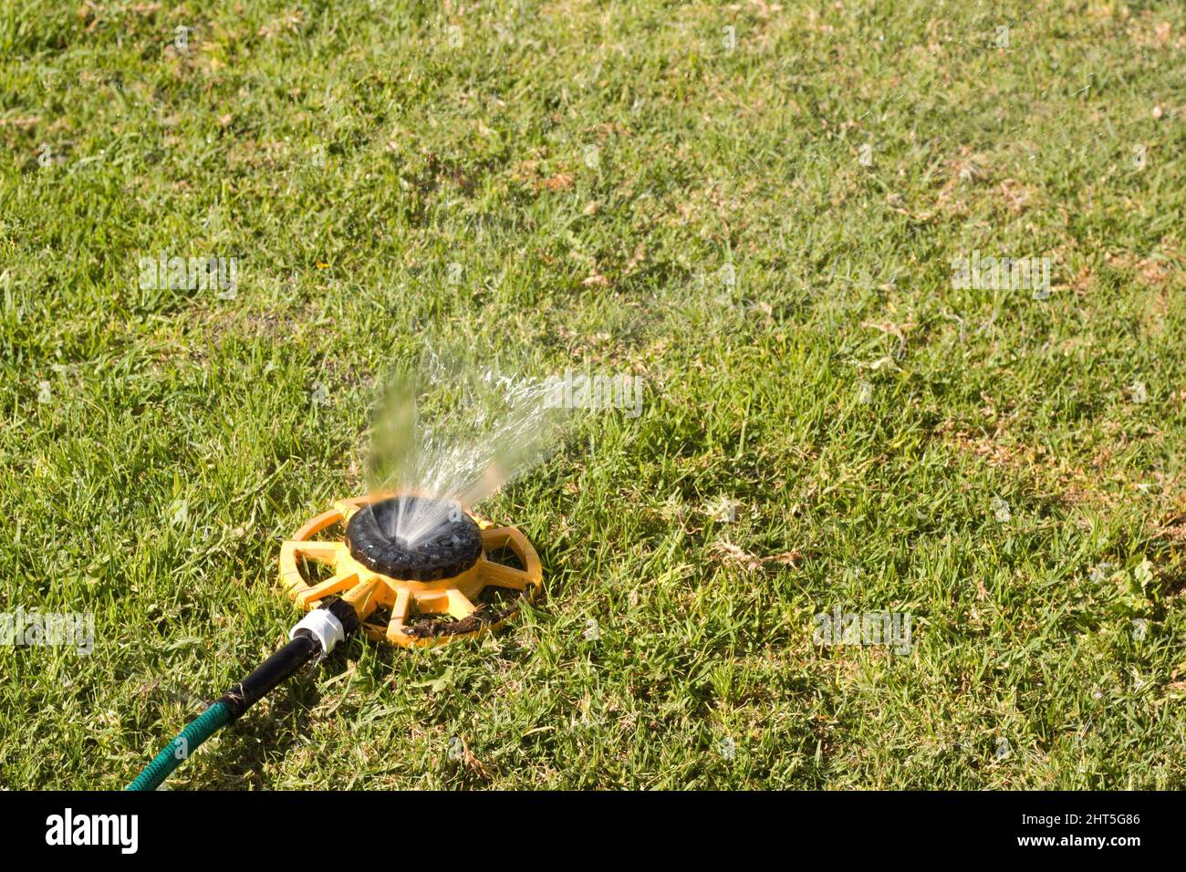 Closeup of a sprinkler in the garden on a sunny day Stock Photo - Alamy
