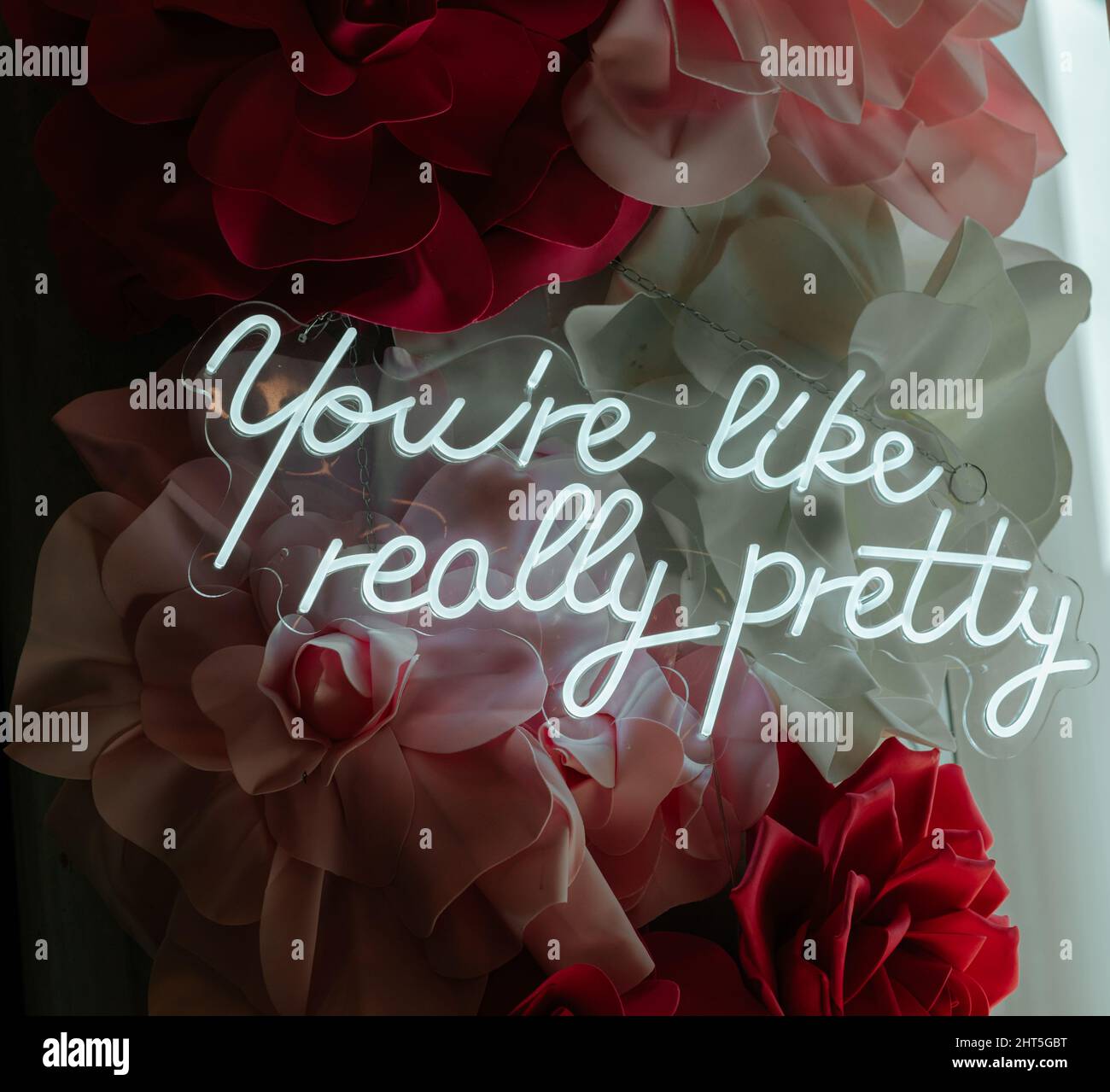 Beautiful background for Valentine's Day with the words "You're like ...