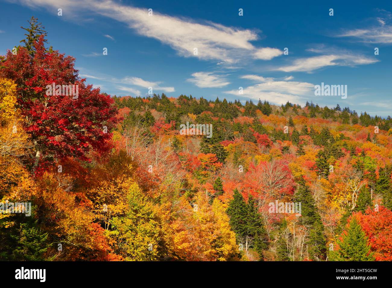 Mesmerizing view of autumn trees in Blue Ridge Parkway Stock Photo - Alamy