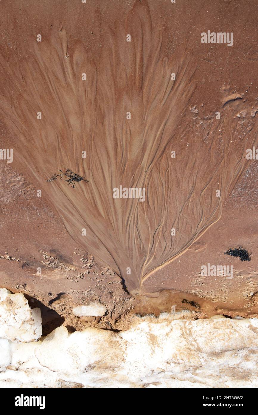 Sandy beach with melting ice in the sun Stock Photo - Alamy