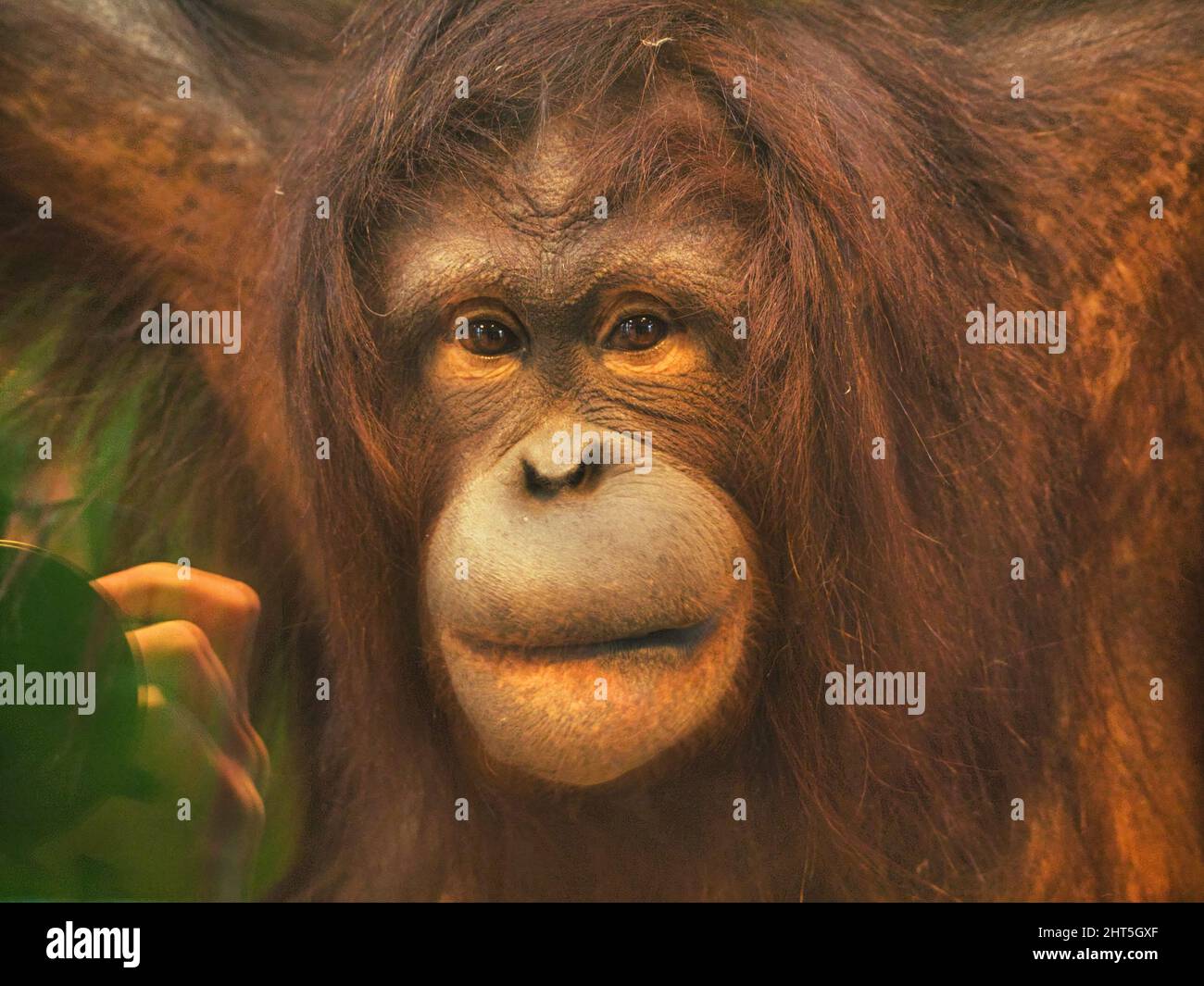 Kansas city wallpaper hi-res stock photography and images - Alamy