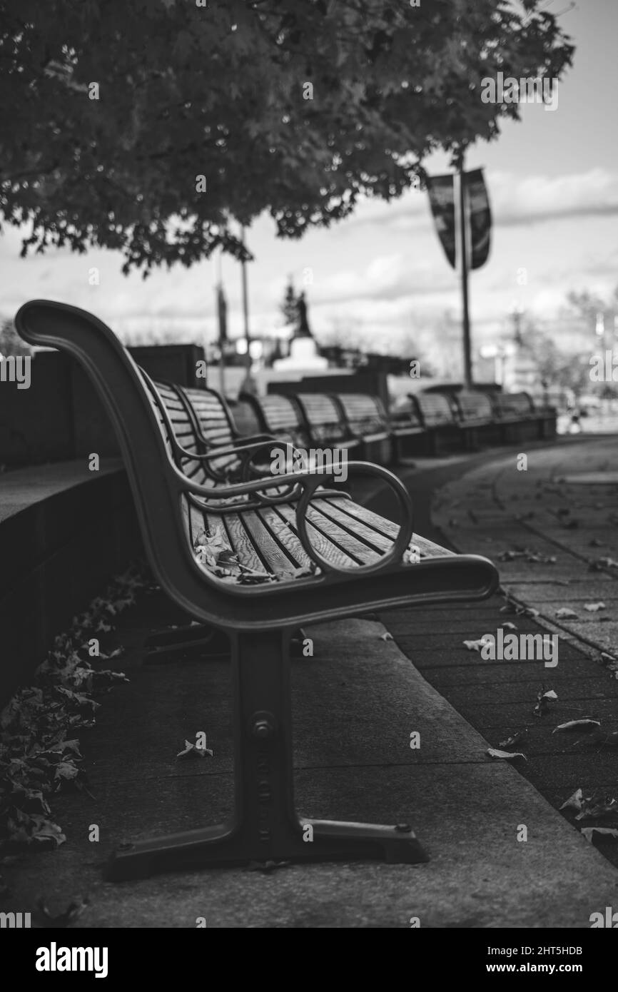 Downtown bench Black and White Stock Photos & Images - Alamy