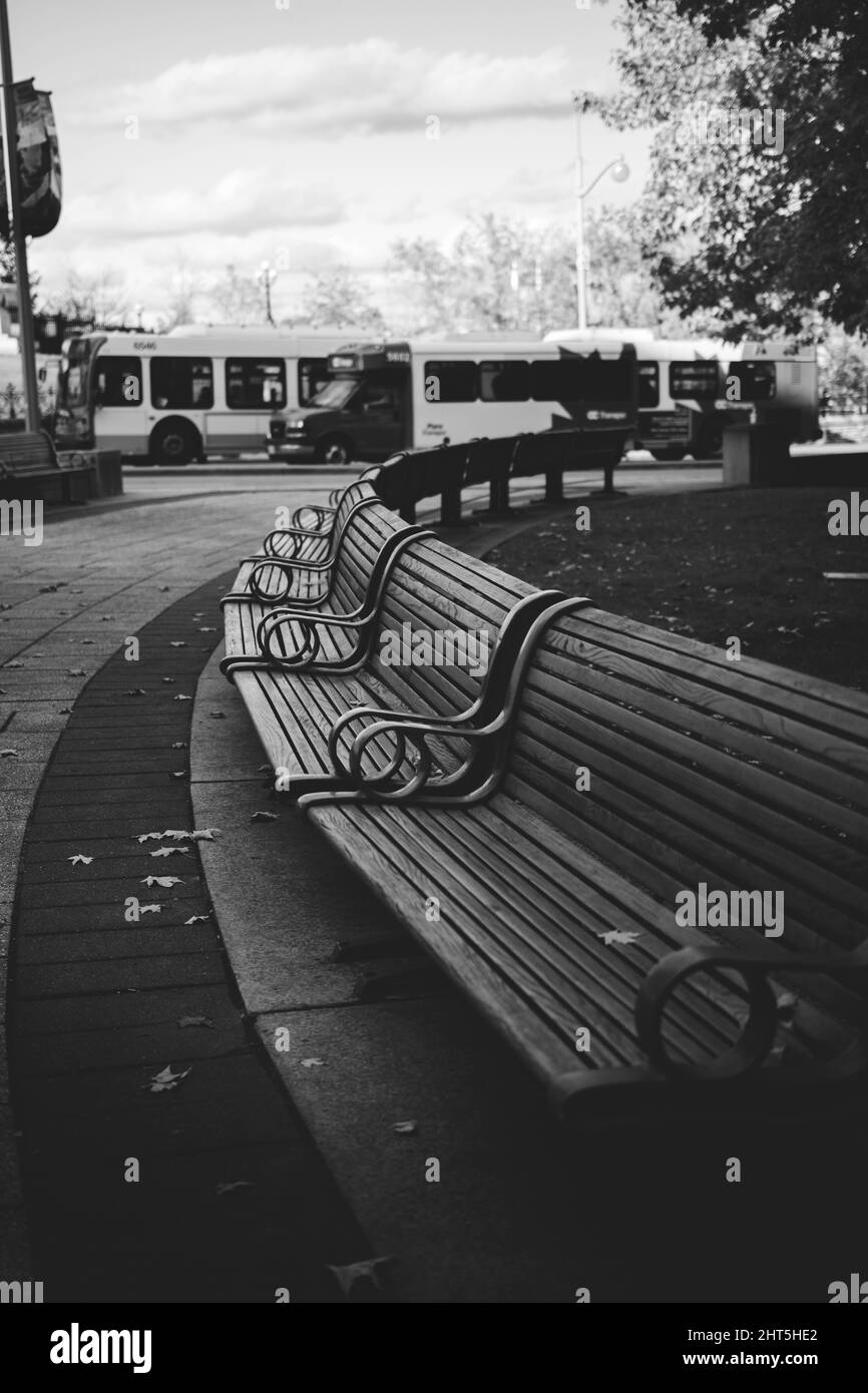 Closeup of a Bench in downtown Ottawa, Ontario Stock Photo - Alamy