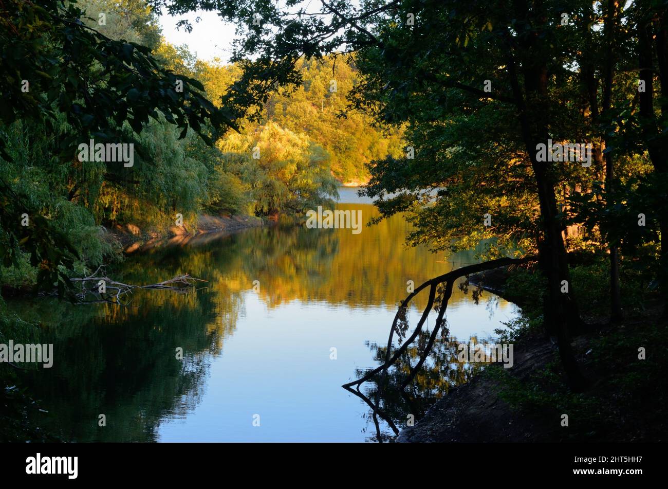 Landscape of a body of water surrounded by forests under a bright ...