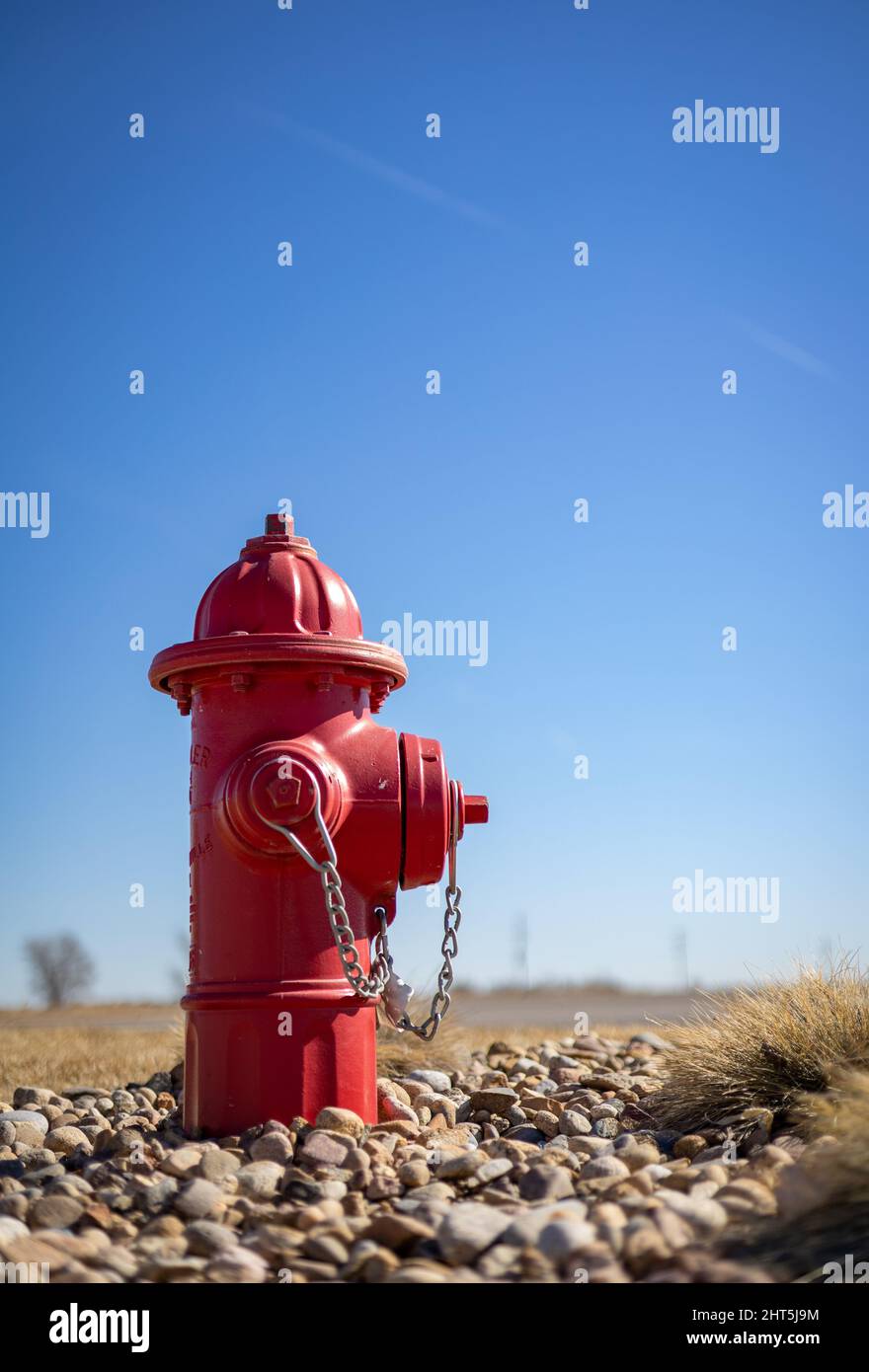 Beginning her journey hi-res stock photography and images - Alamy