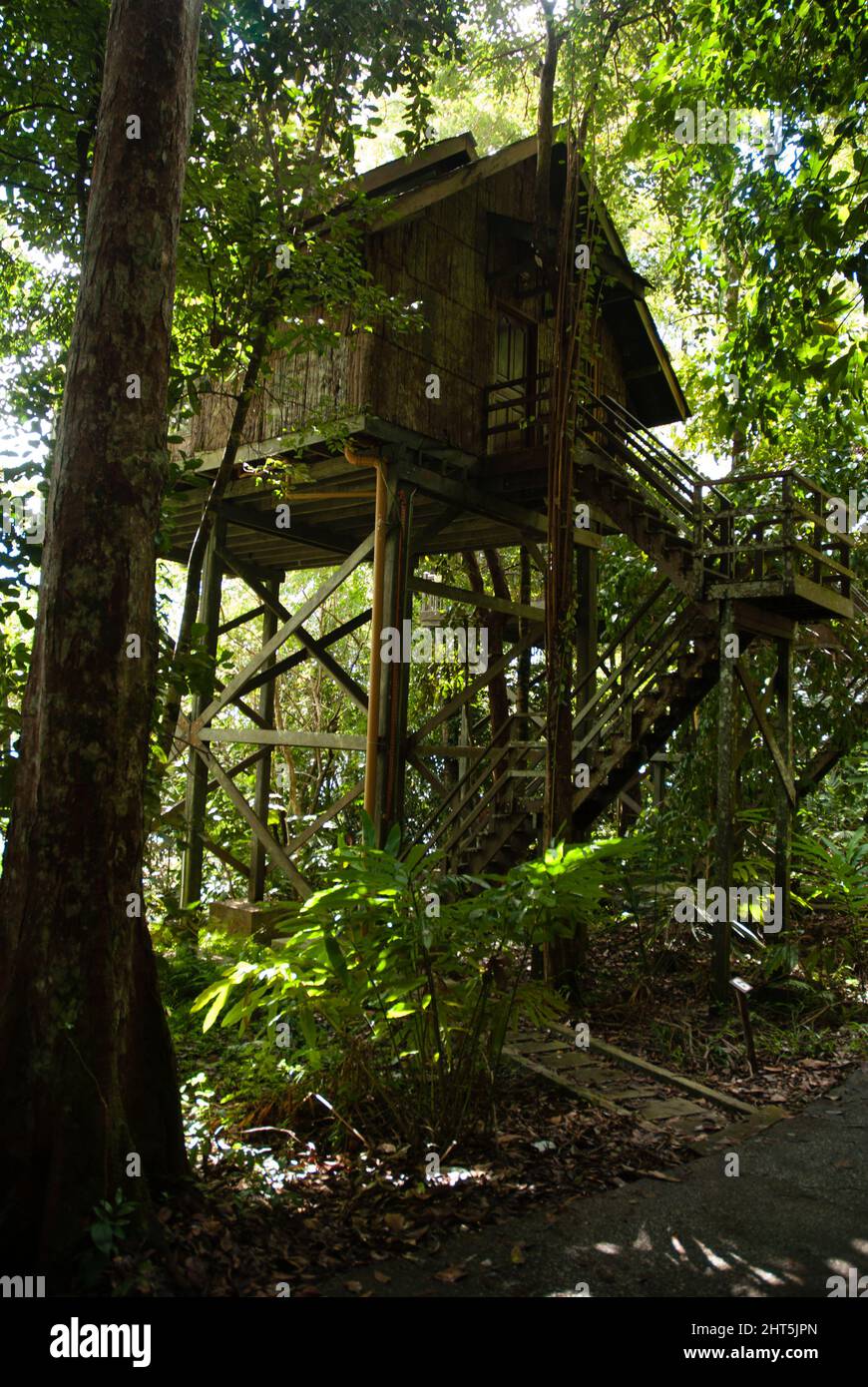Closeup of a Treehouse in Permai Rainforest Resort, Sarawak, Borneo ...