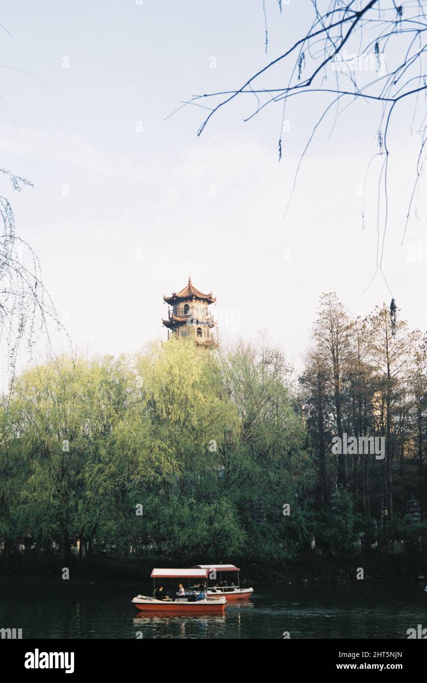 Tall building behind the trees in a park Stock Photo - Alamy