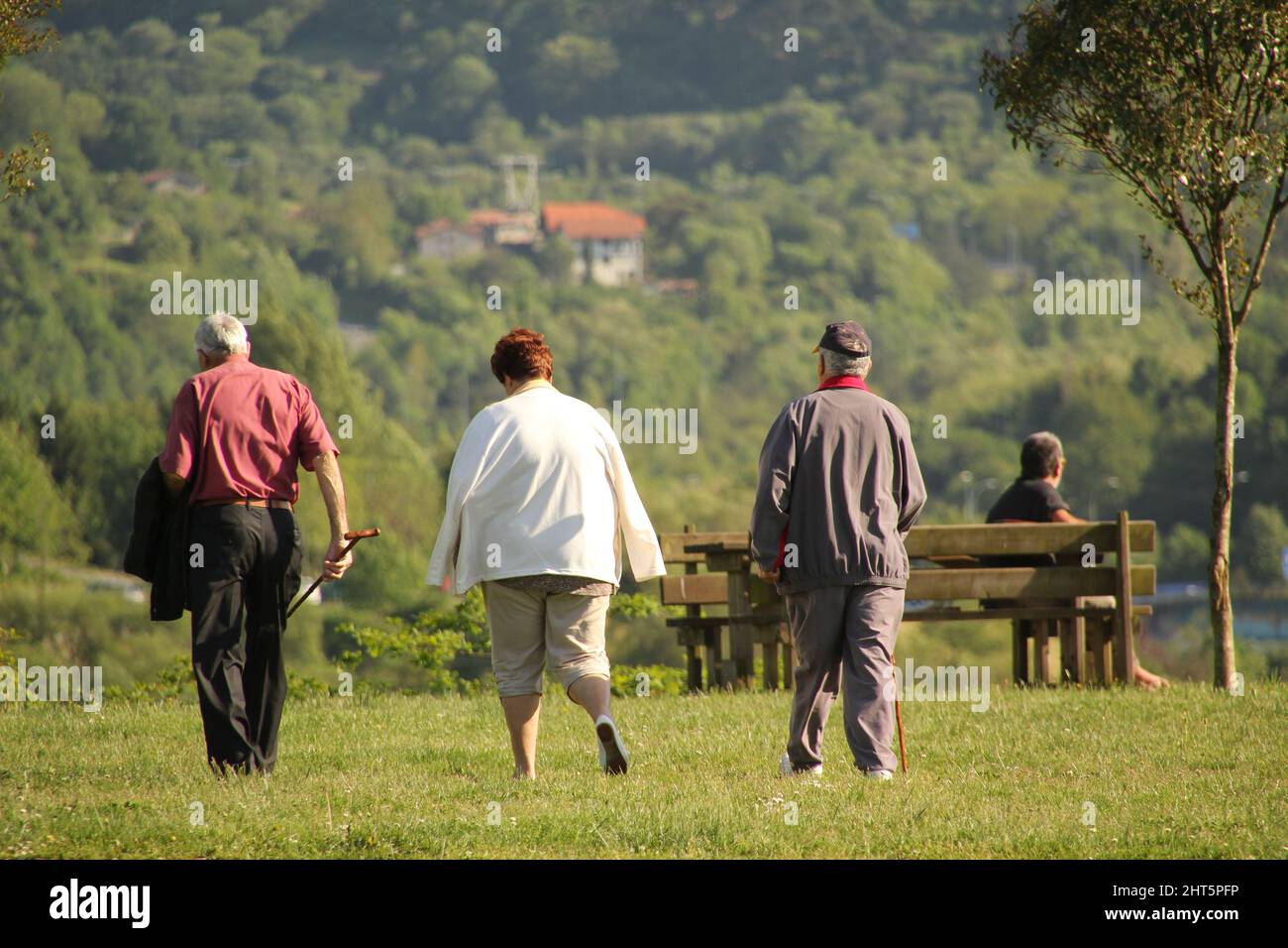 Group of old people walking in a park covered in greenery on a sunny ...