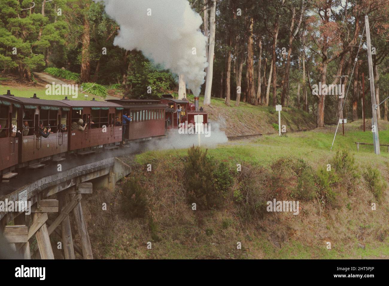 Old steam locomotive on rails in a forest Stock Photo - Alamy