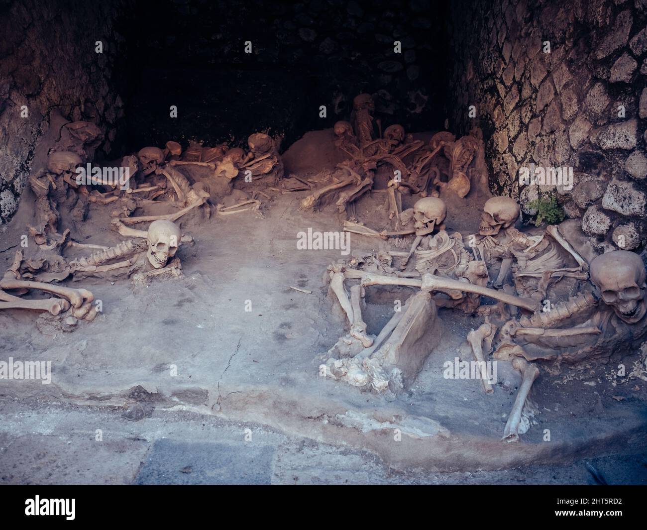 Ancient human skeletons hi-res stock photography and images - Alamy