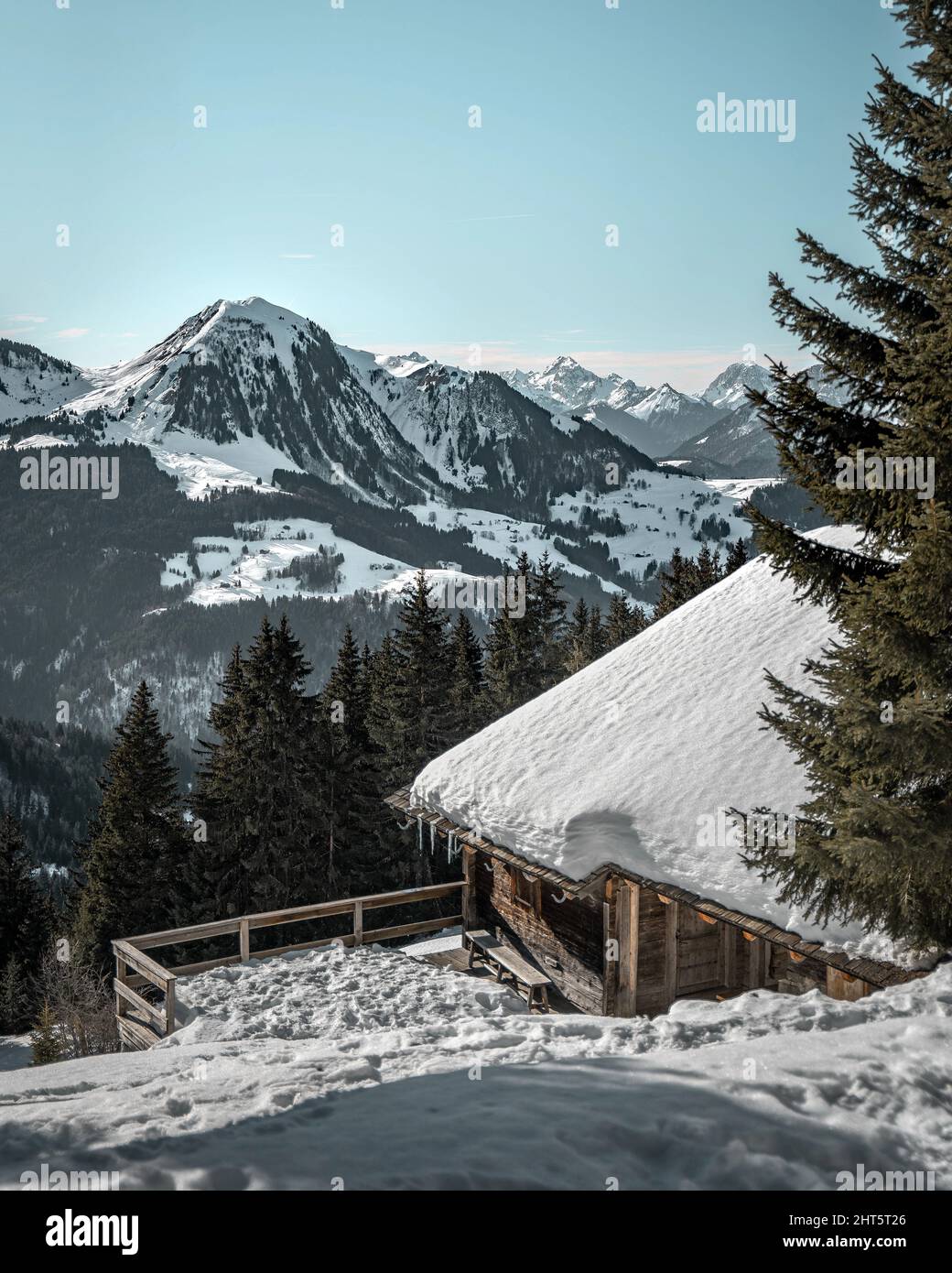 Beautiful landscape view of fur trees, rural house and snowy mountains ...