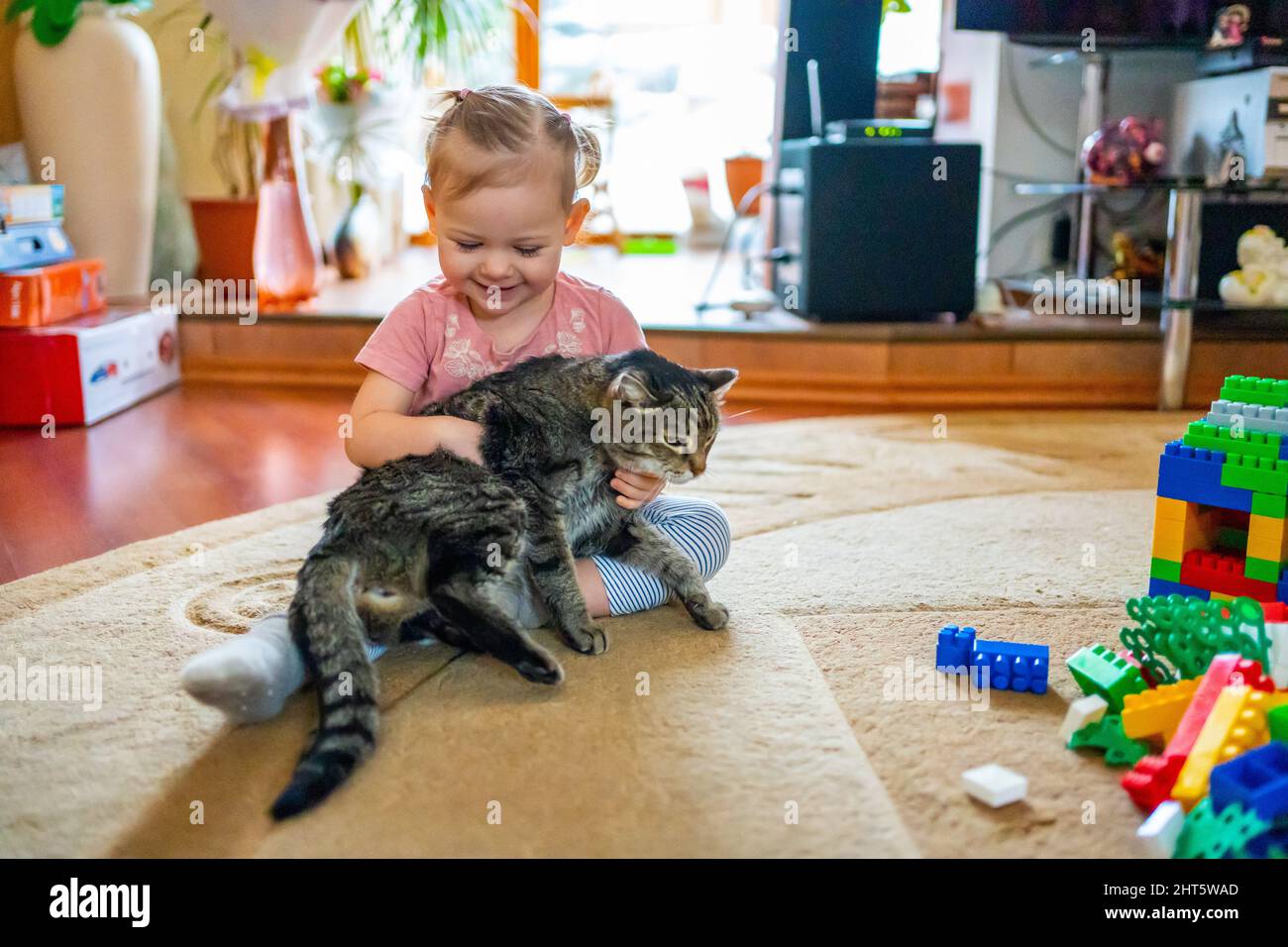 Unhappy cat hi-res stock photography and images - Alamy