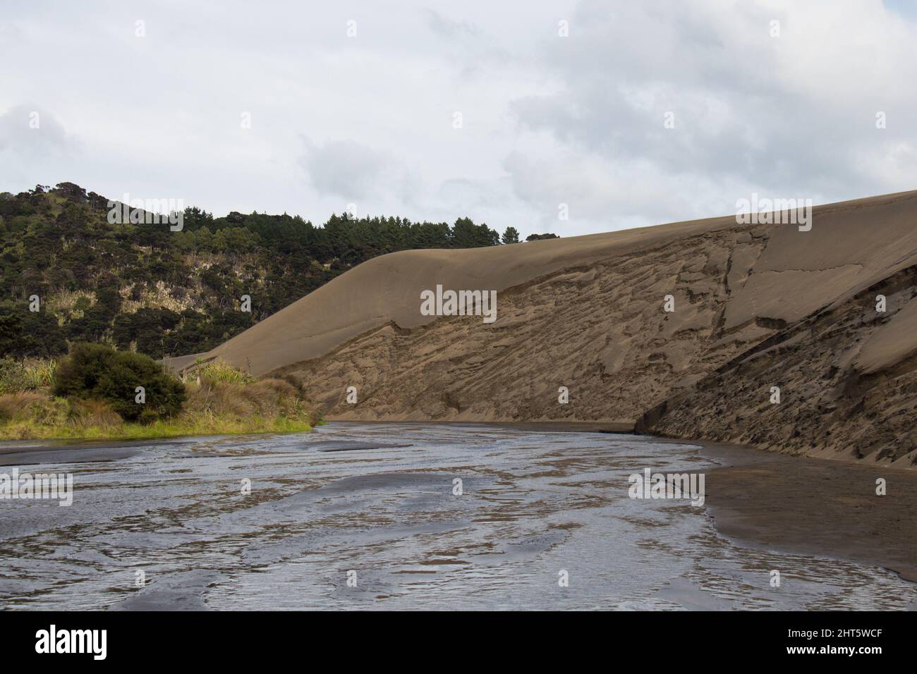 The view of sand dunes around lake Wainamu, New Zealand Stock Photo - Alamy