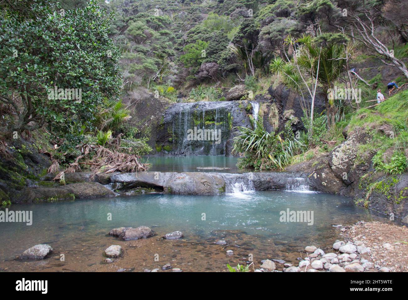 The view of Wainamu or Waitohi waterfalls, New Zealand Stock Photo - Alamy