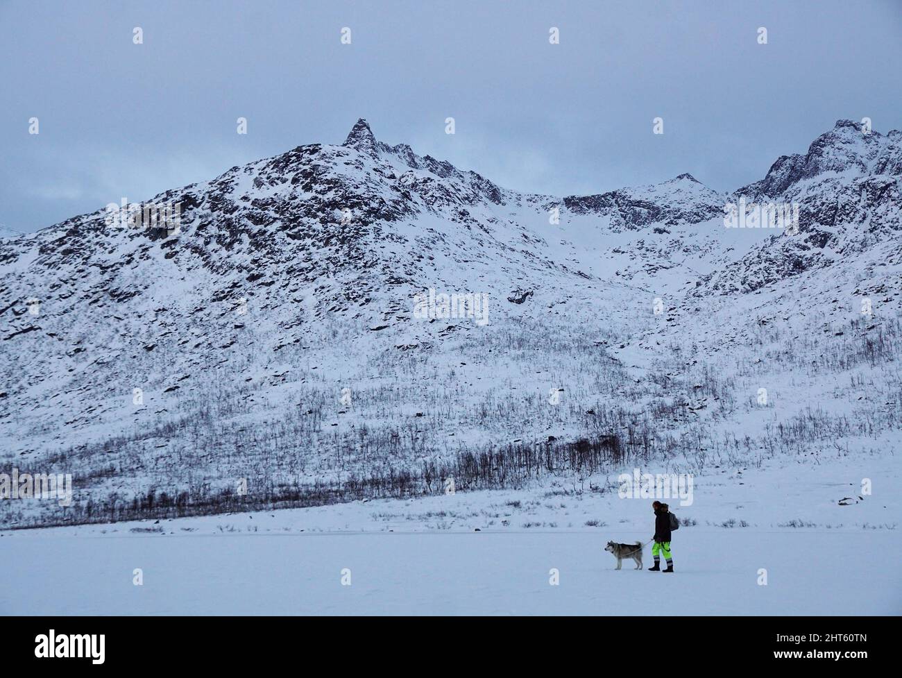 Stunning view of snowy mountains in Tromso, Norway Stock Photo - Alamy