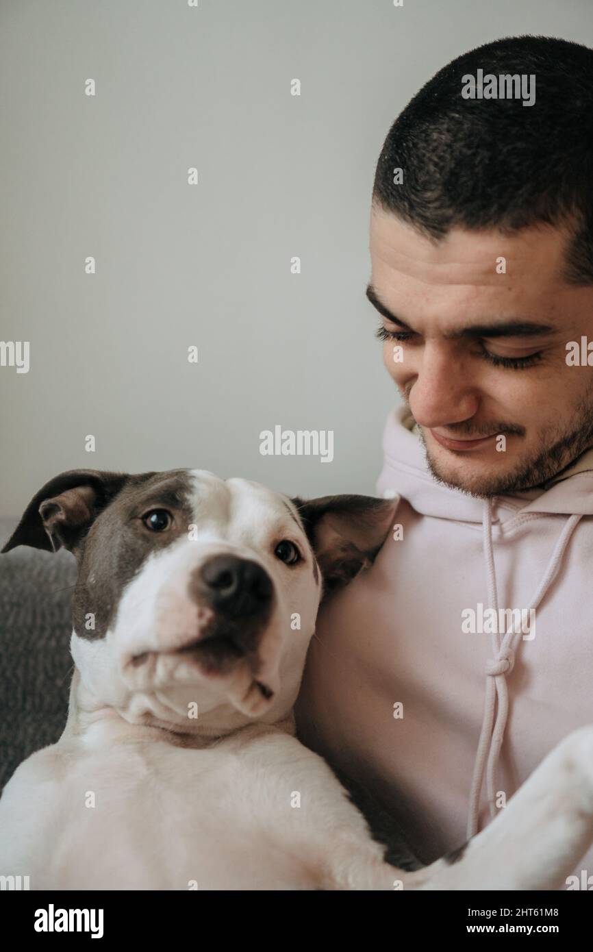Closeup of an owner kissing the amstaff dog Stock Photo - Alamy