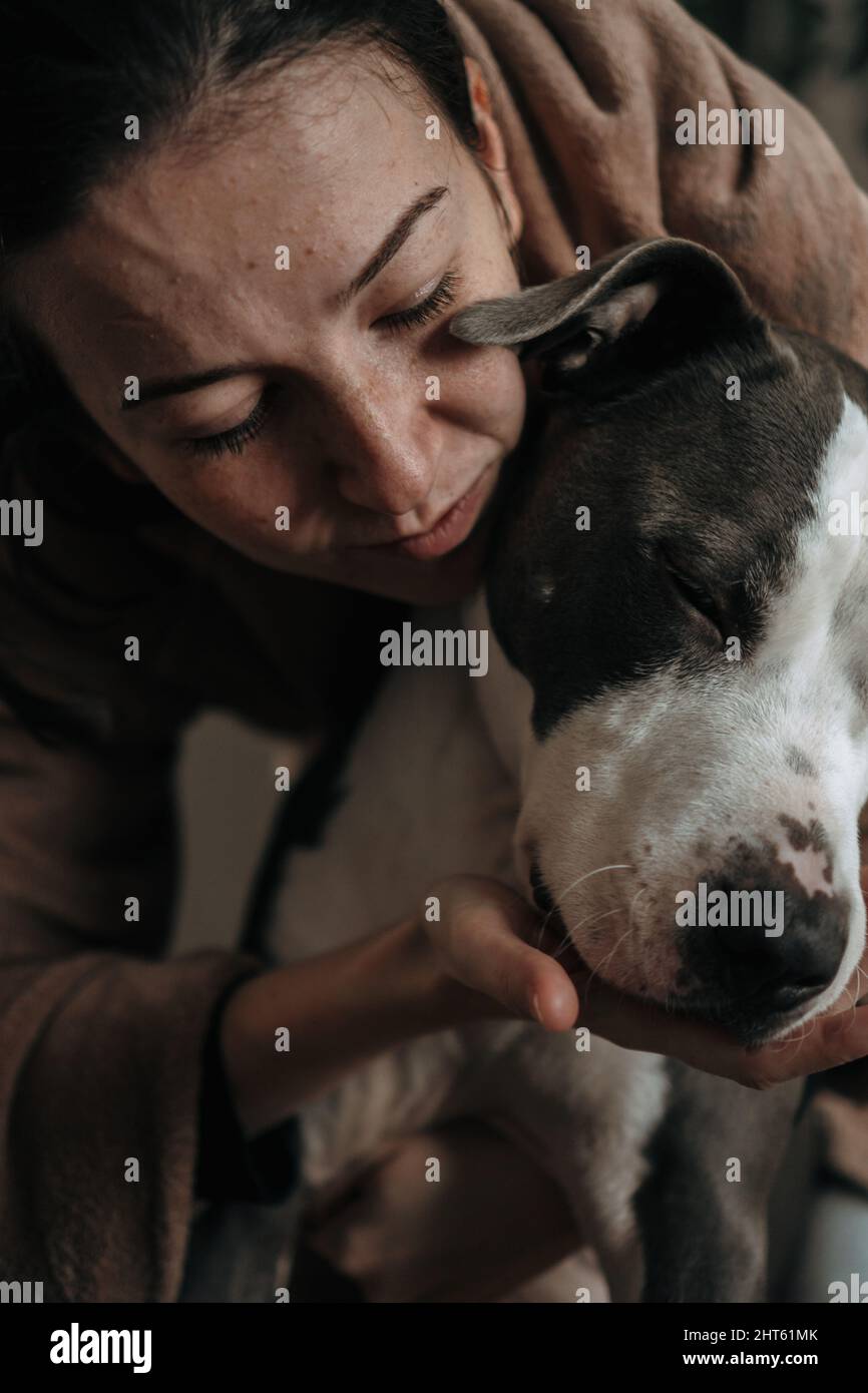 Closeup of an owner with the amstaff dog Stock Photo - Alamy