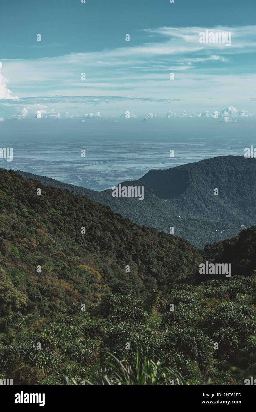 Daylight ecology hi-res stock photography and images - Alamy