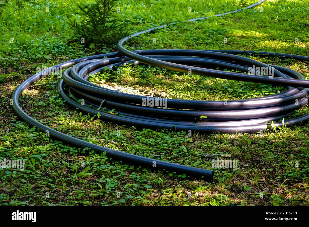 PVC water pipe is rolled up in large rings on green grass. Preparatory ...