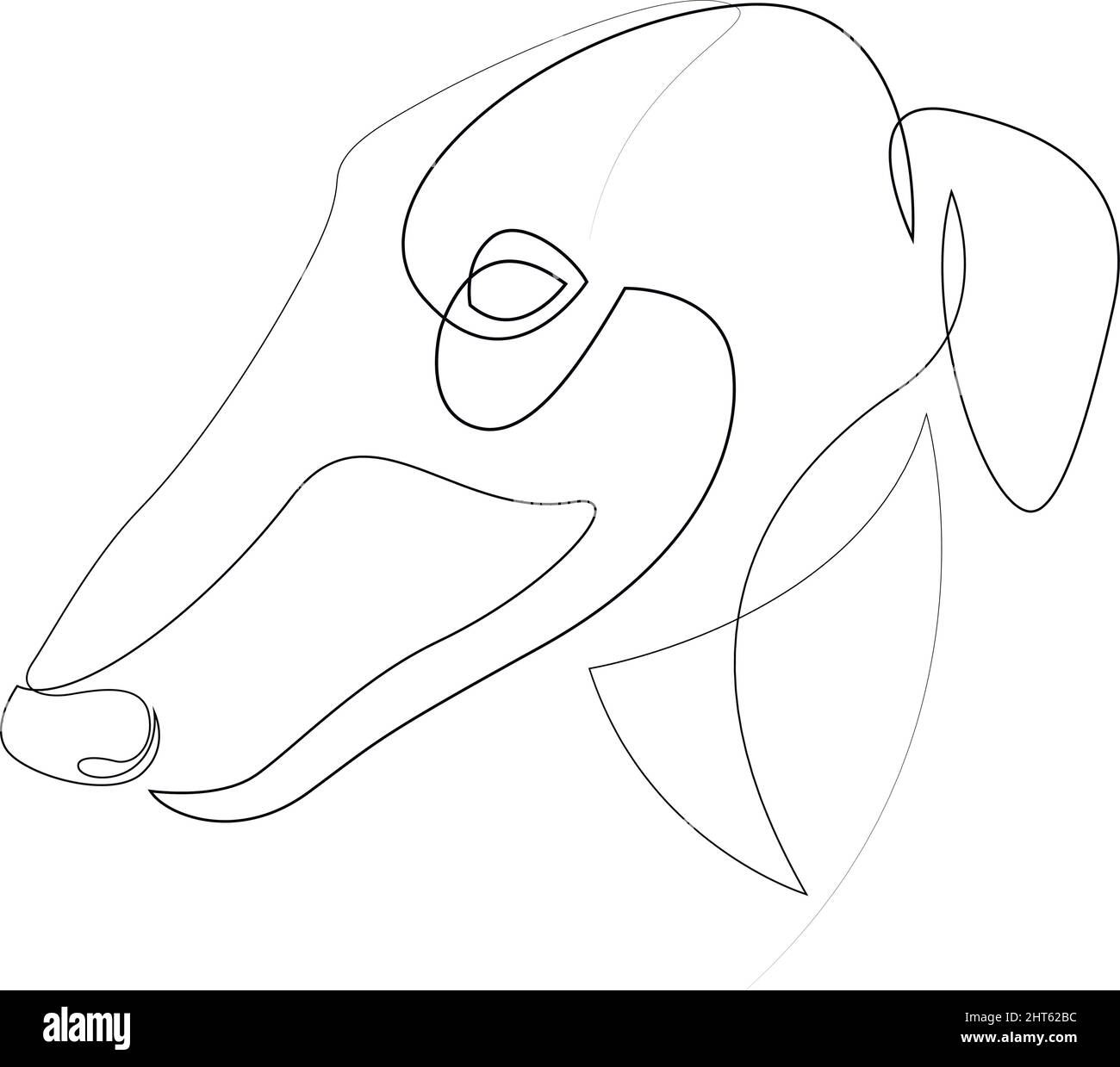 English greyhound dog hi-res stock photography and images - Alamy