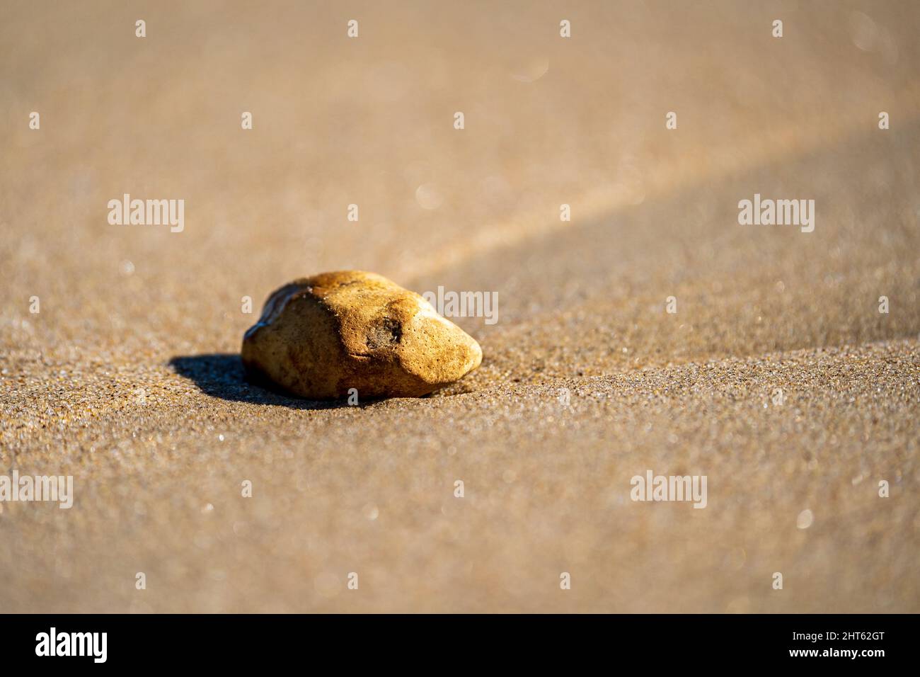 Stone Washed Up On Beach Stock Photo - Alamy