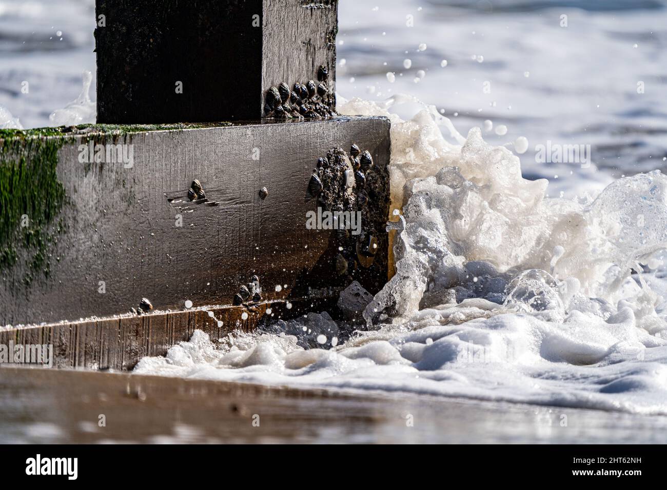 Breaking against breakwater hi-res stock photography and images - Alamy