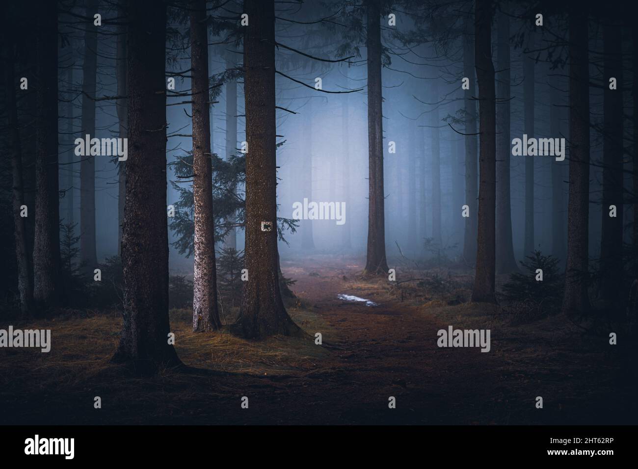 Mysterious atmosphere hi-res stock photography and images - Alamy