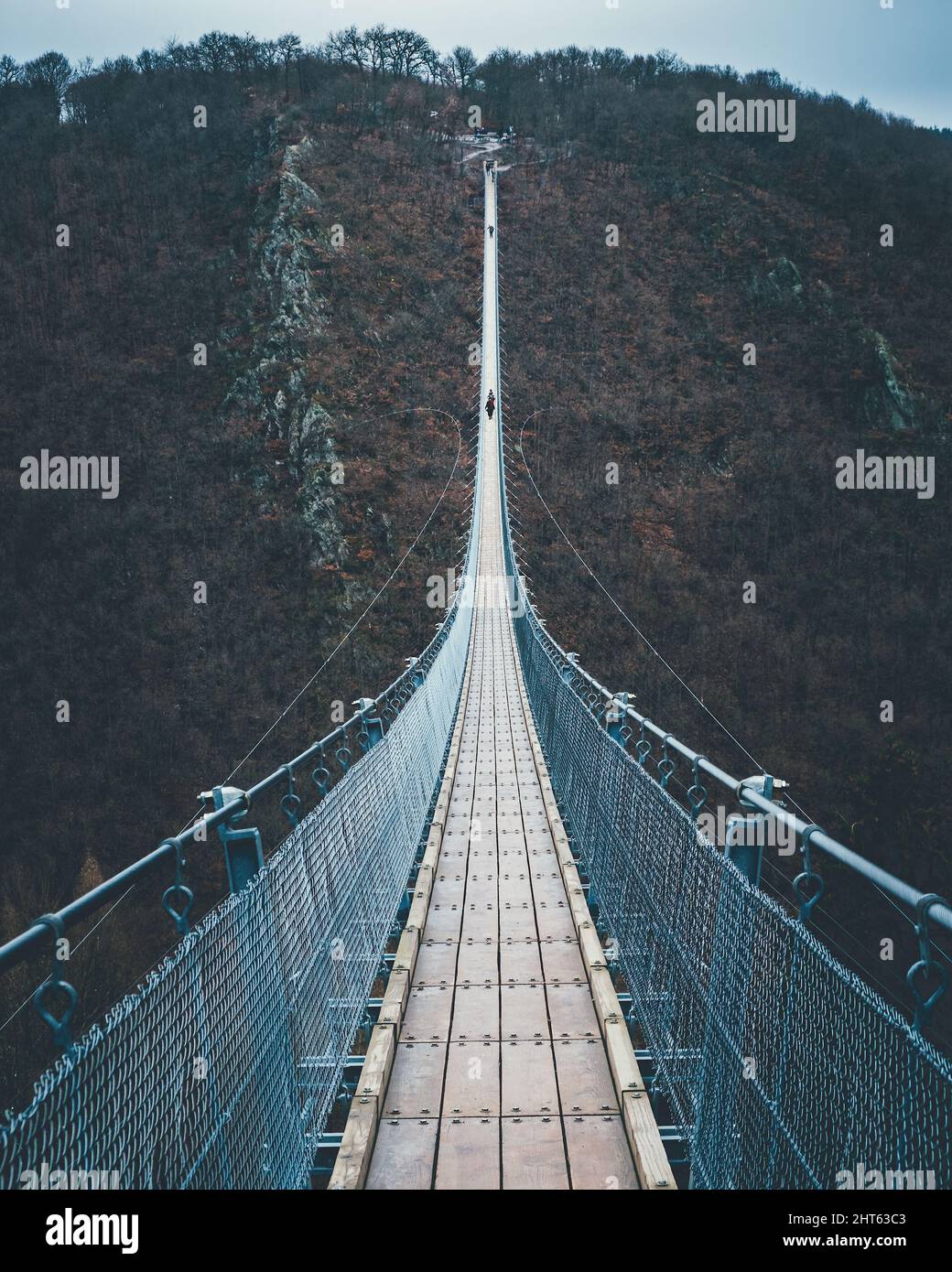 geierlay suspension bridge Stock Photo - Alamy