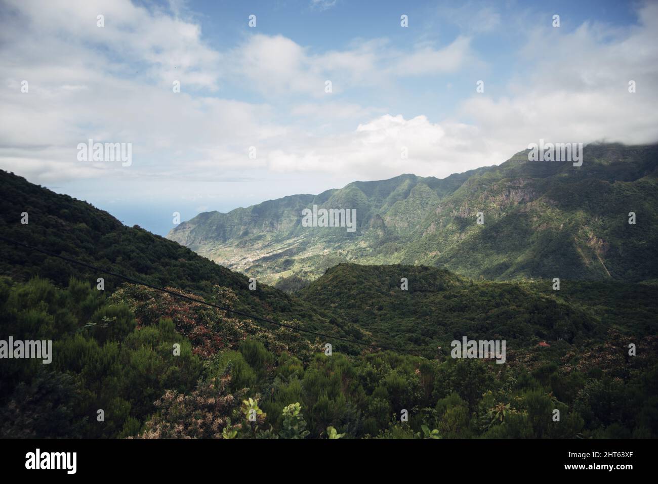 Nature of the island of Madeira - an autonomous region in Portugal ...