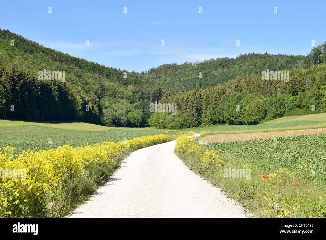 Rural road in a beautiful German landscape Stock Photo - Alamy