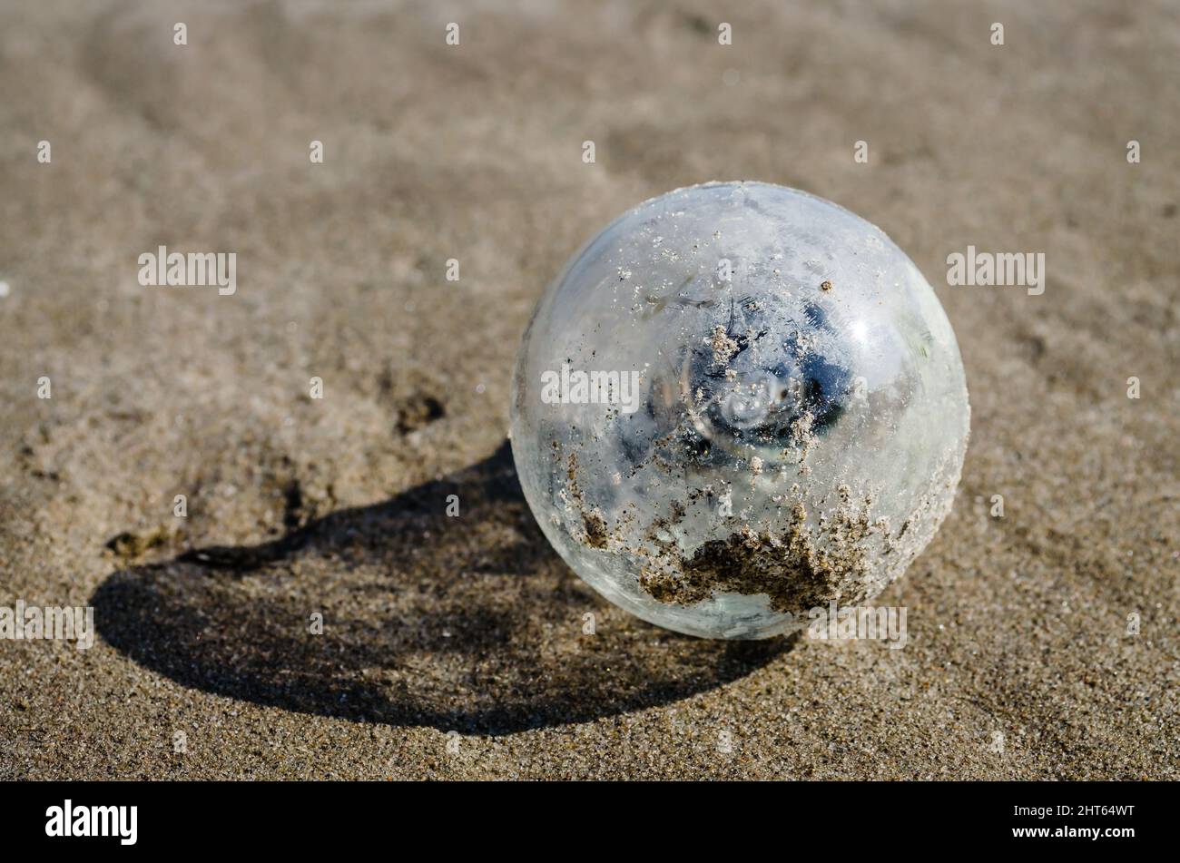 A discarded glass bulb smeared with sand on the banks of the Danube ...