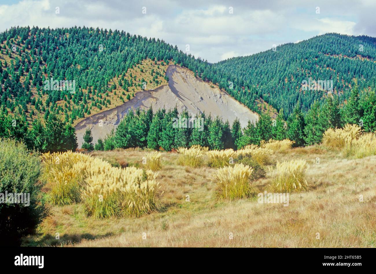 Soil retrogression and degradation are two regressive evolution ...