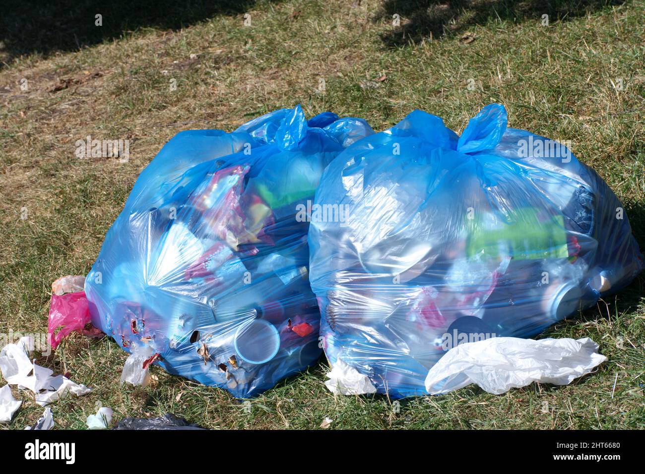 garbage on grass in park at dry sunny summer day Stock Photo - Alamy