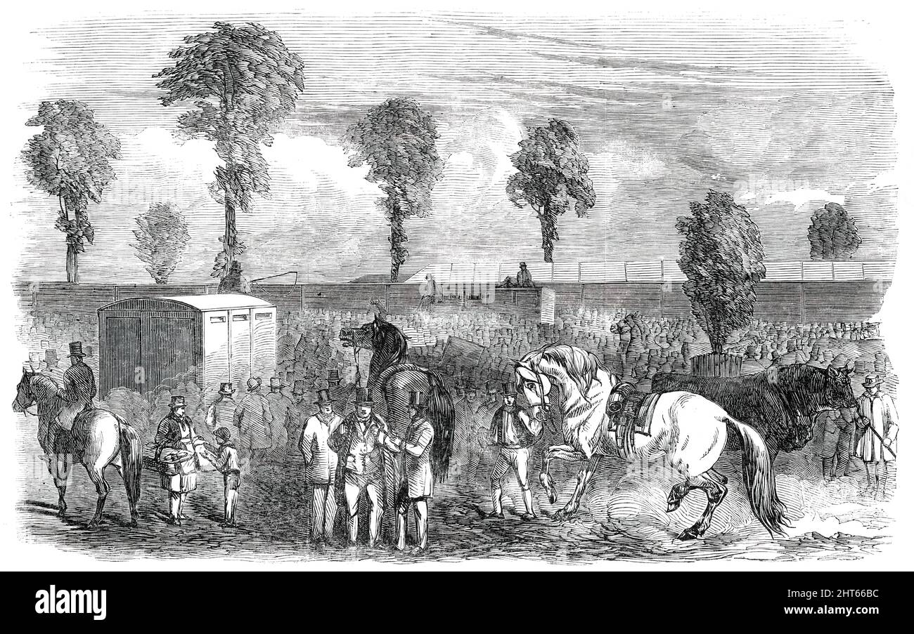 Royal Agricultural Society of England - Twelfth Annual Meeting and ...