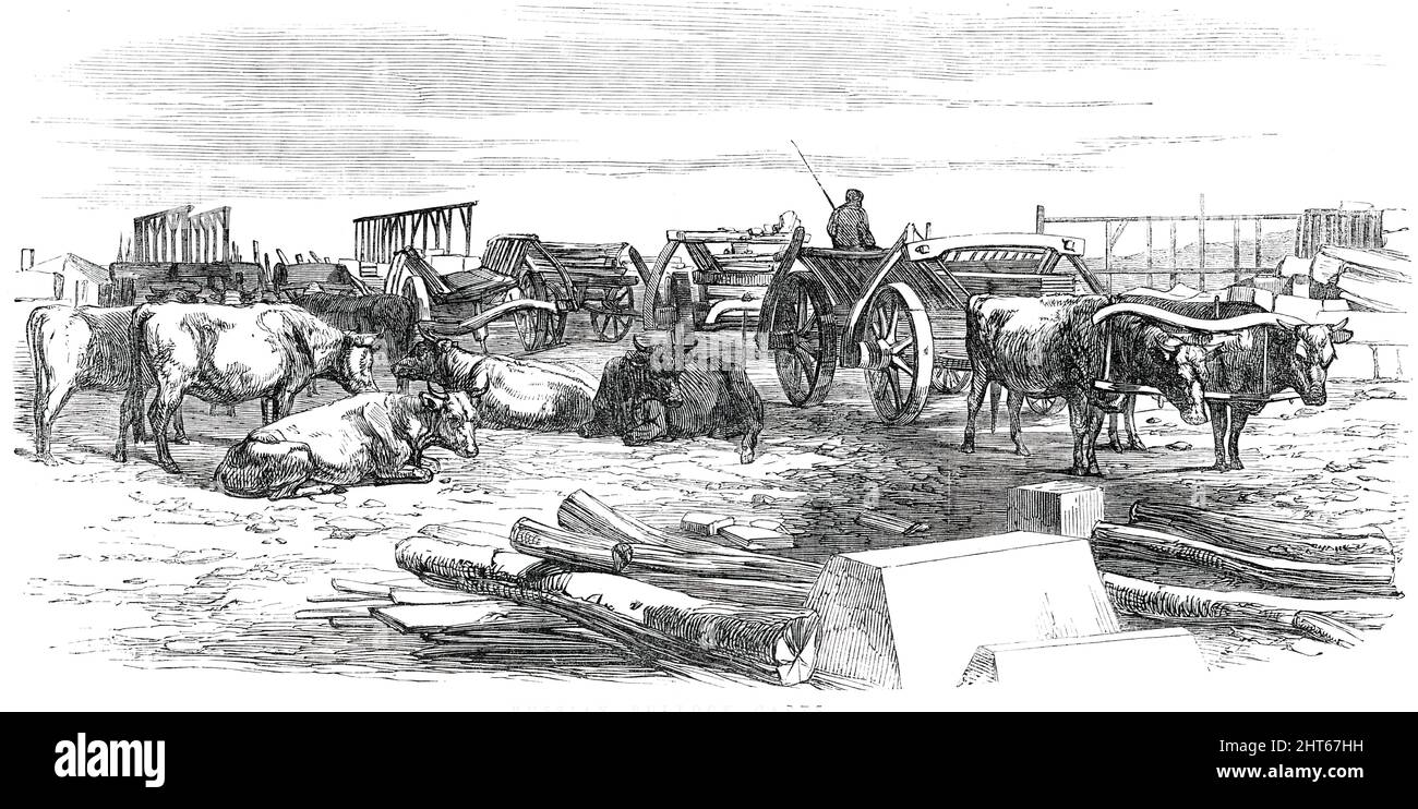 Russian Bullock Carts, 1850. The Tsar Nicholas I Chain Bridge at Kiev ...