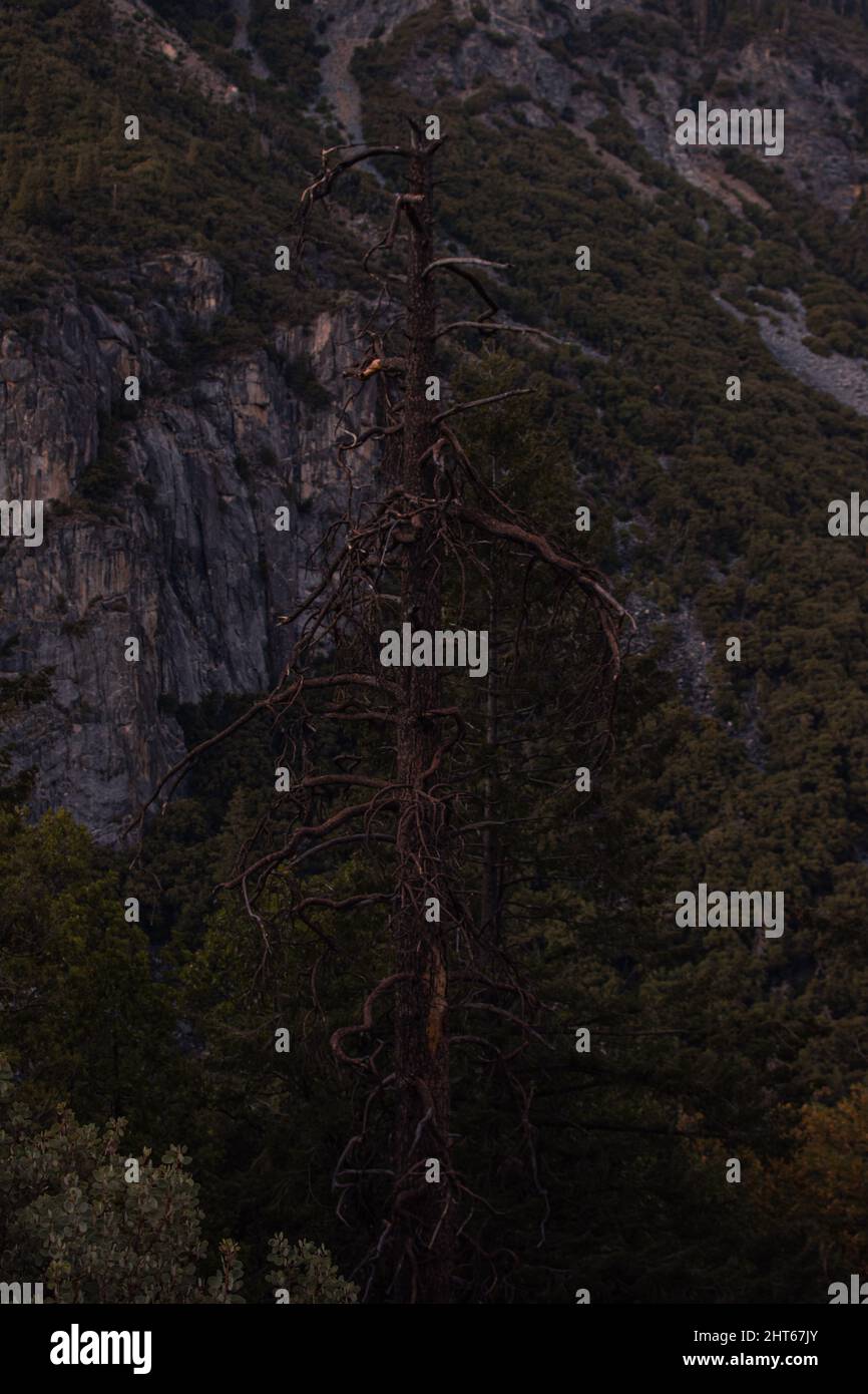 Autumnal landscape from Yosemite National Park, California, United ...