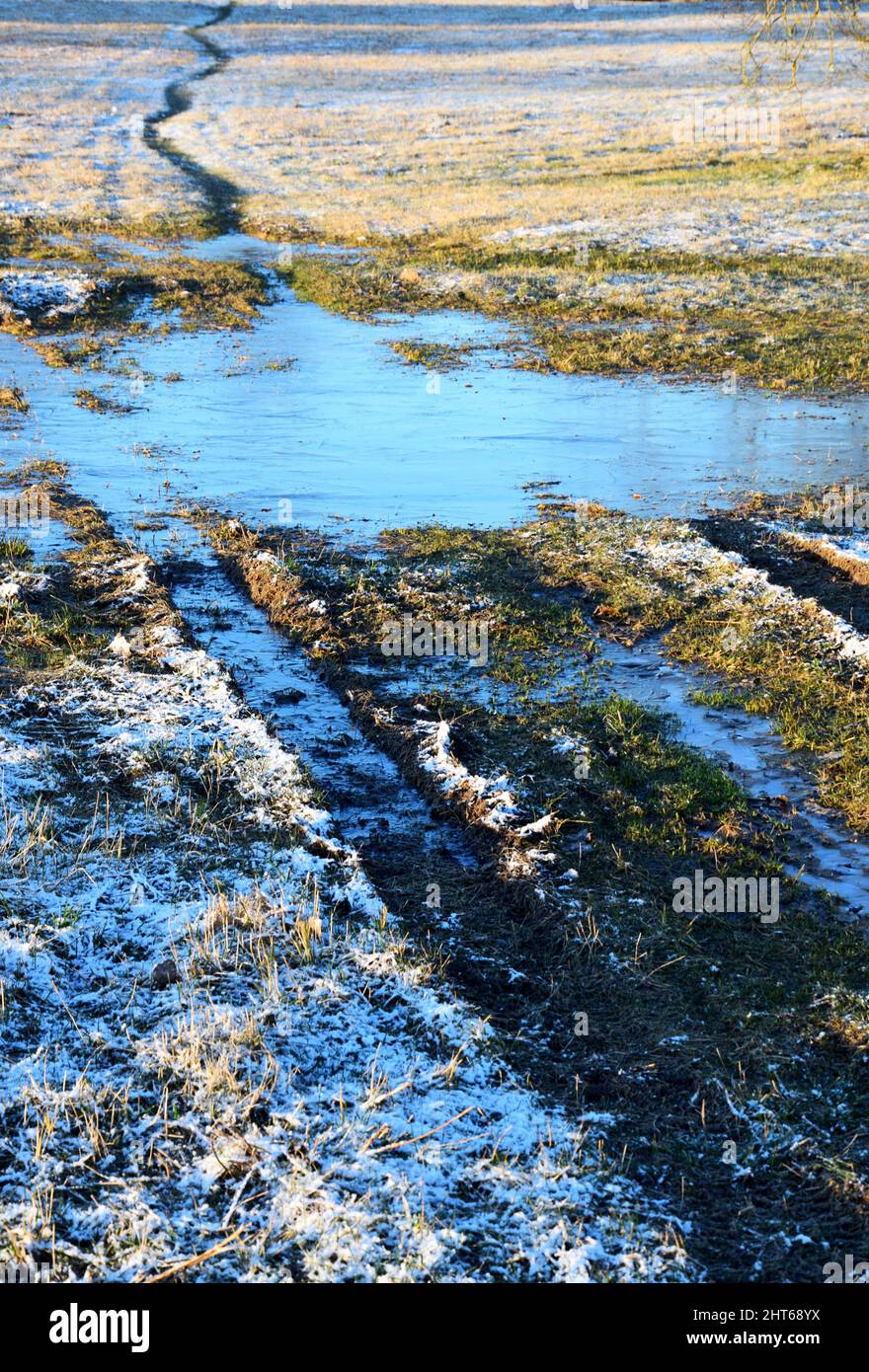 Puddle and melting snow in the sun Stock Photo - Alamy
