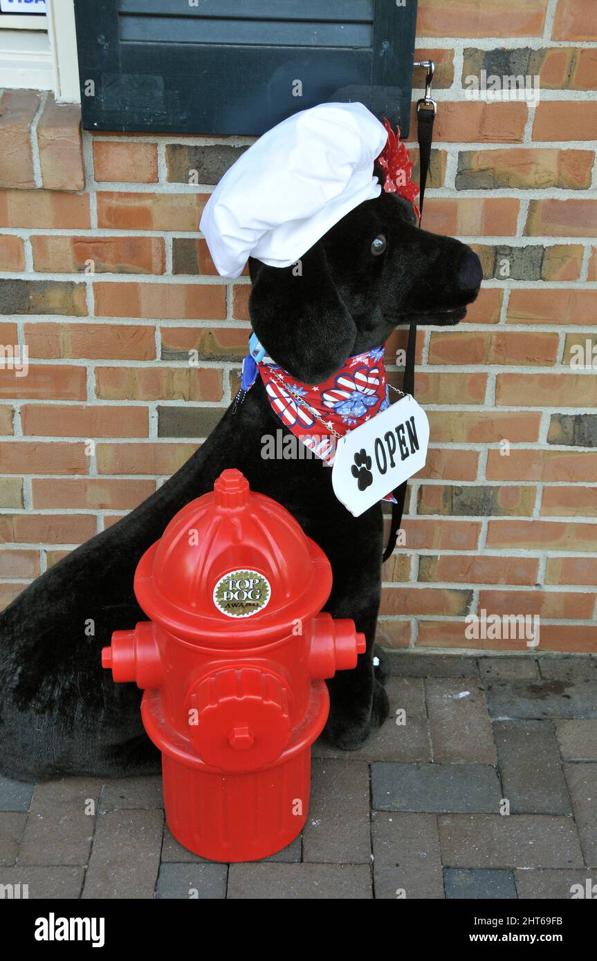 Dog statue and fire hydrant on a sidewalk outside a store in a small ...