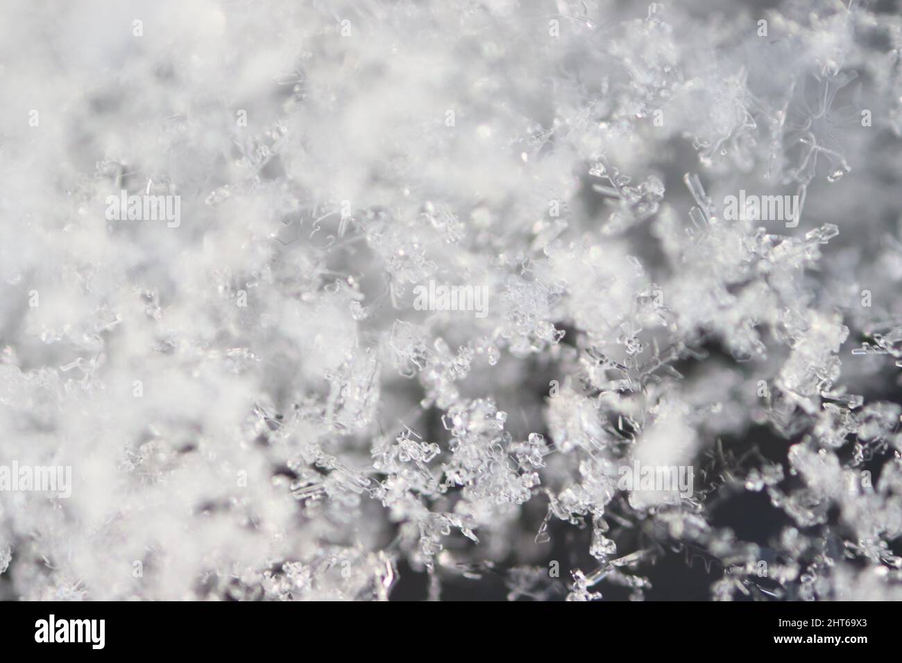 Macro shot of the real snowflakes on the glass surface in Pinzgau Stock ...