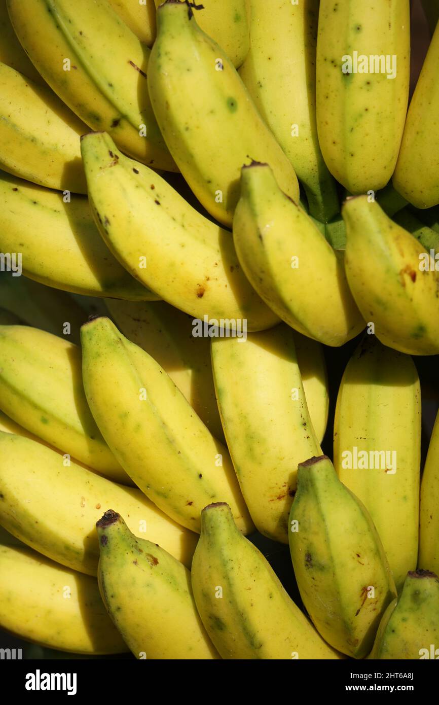 Bananas closeup hi-res stock photography and images - Alamy