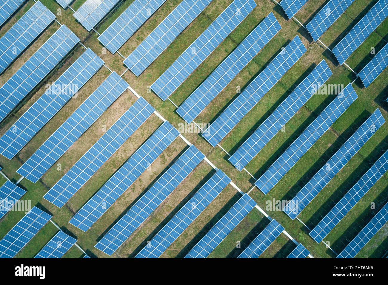 Aerial top down shot of solar panels farm on the green field. Renewable ...