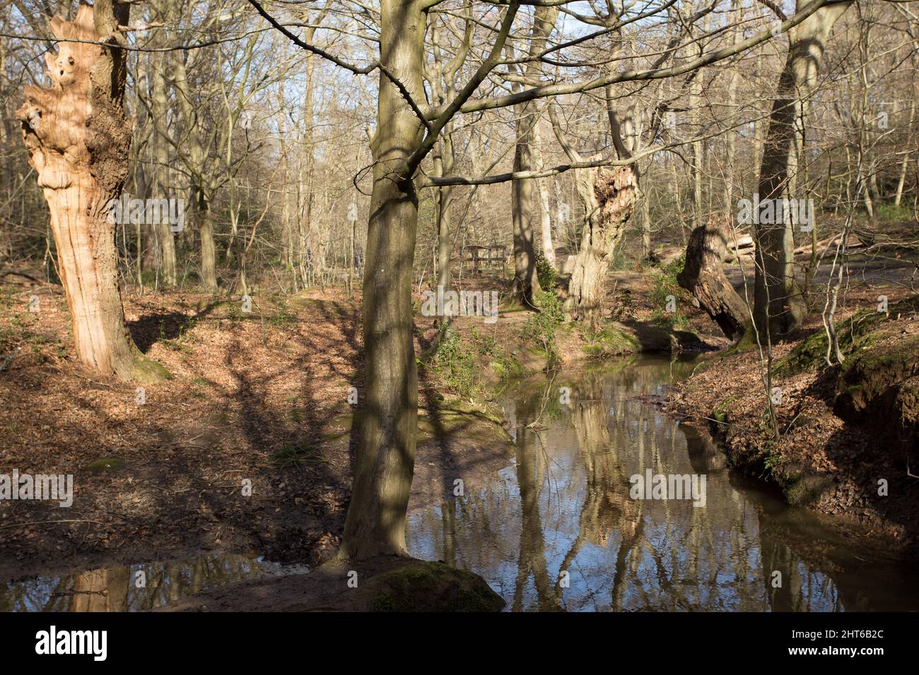 Loughton essex hi-res stock photography and images - Alamy